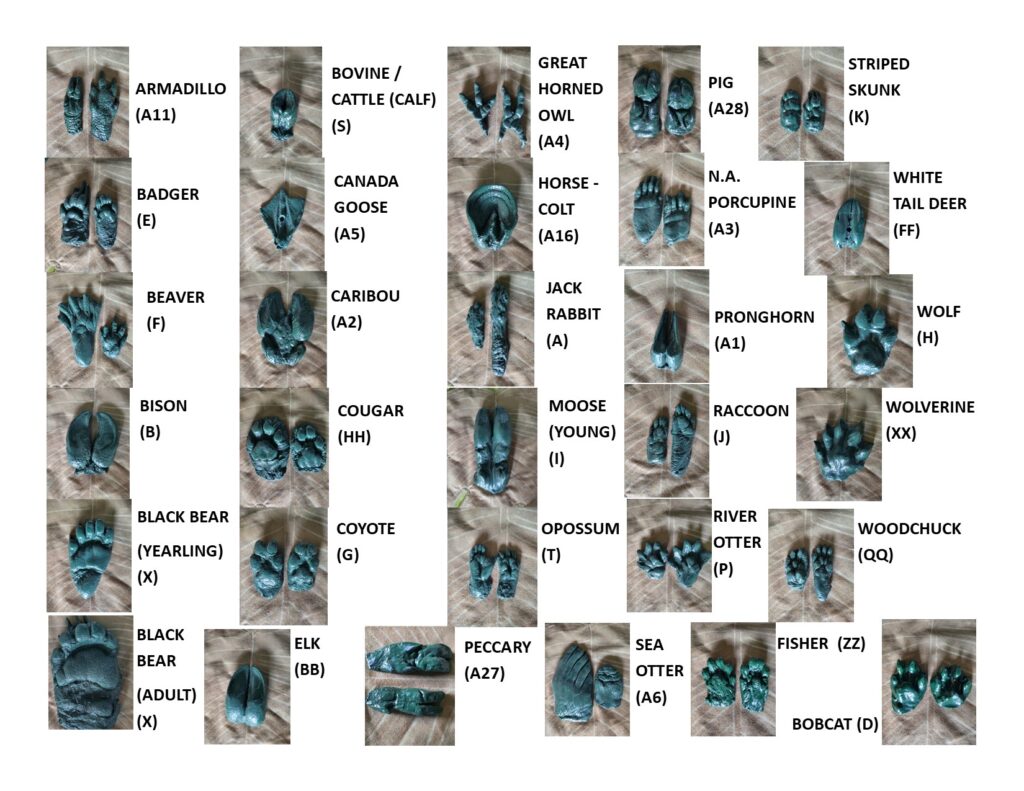 TRACK MATCH – Kaotic Mythicals